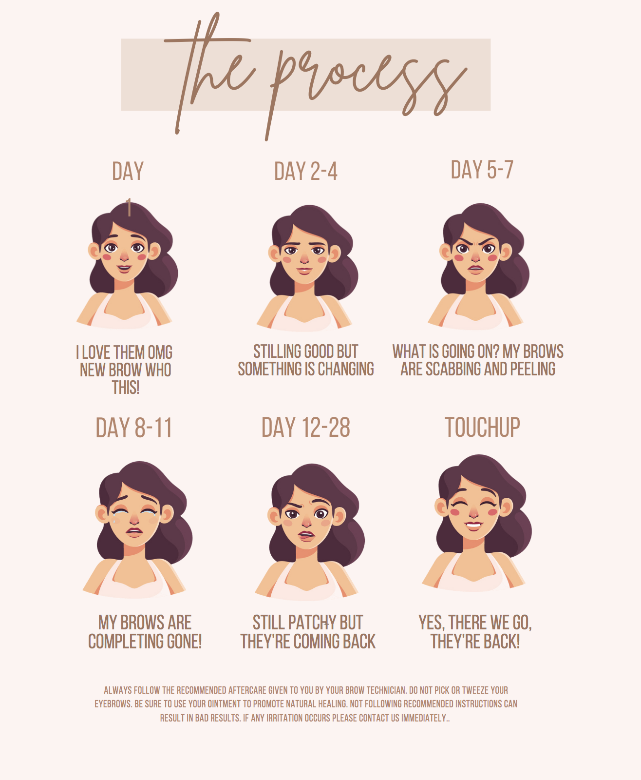 Brow Information Guide — Olive Branch Brows