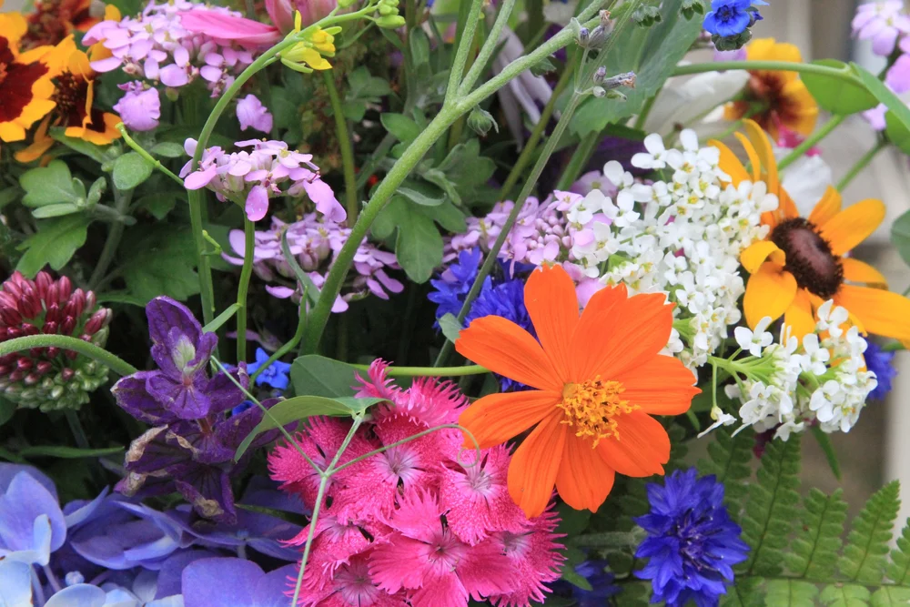 Annapolis and Severna Park Florist, Flower Delivery and Weddings