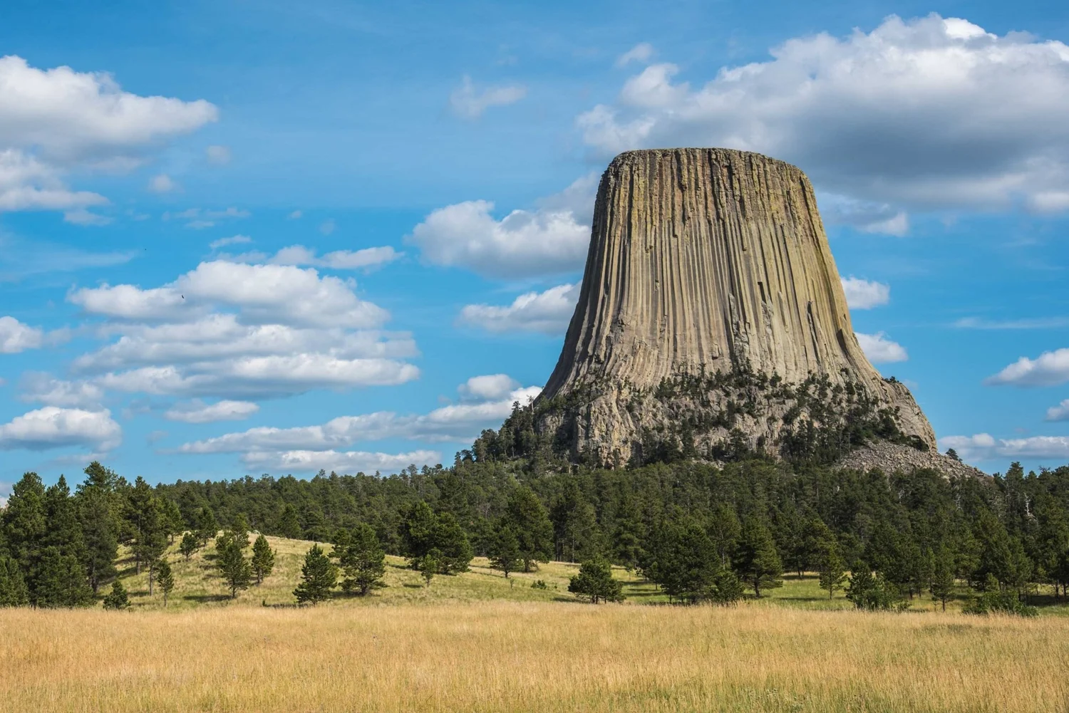 Events & Attractions — Devils Tower View Campground & Cafe