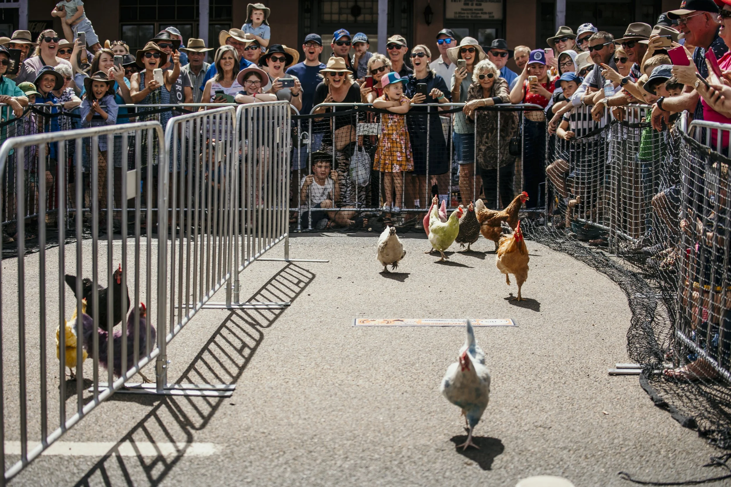 Ben’s Chicken Races — Better in Blackall Festival