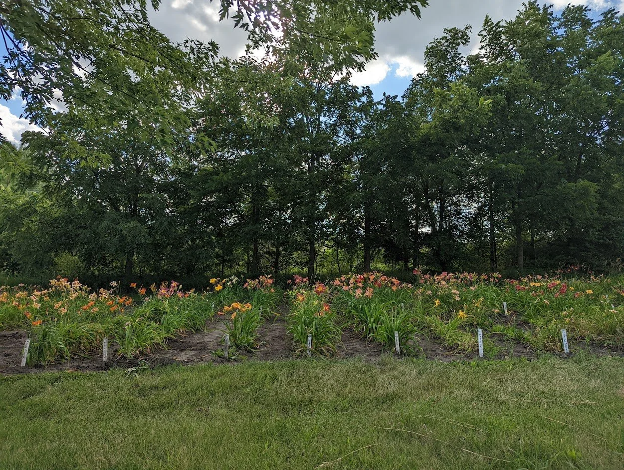 Shop — Garfield Gardens