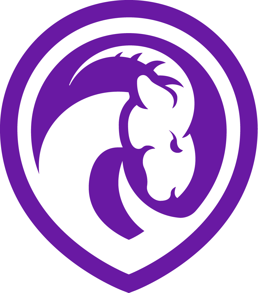 Shane Van Gisbergen — Store 1 — GOAT Racing Diecast