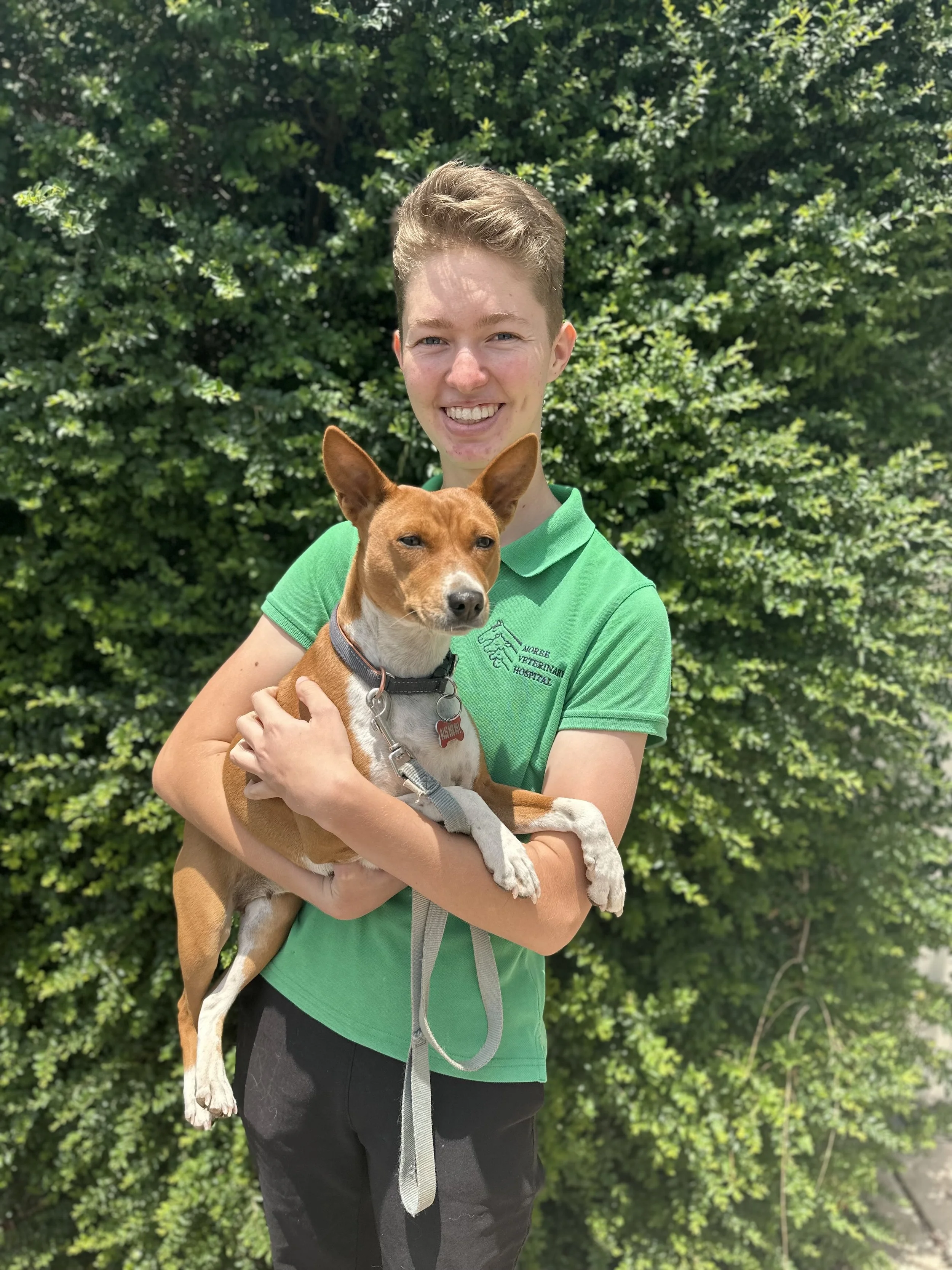 MVH Team — Moree Veterinary Hospital