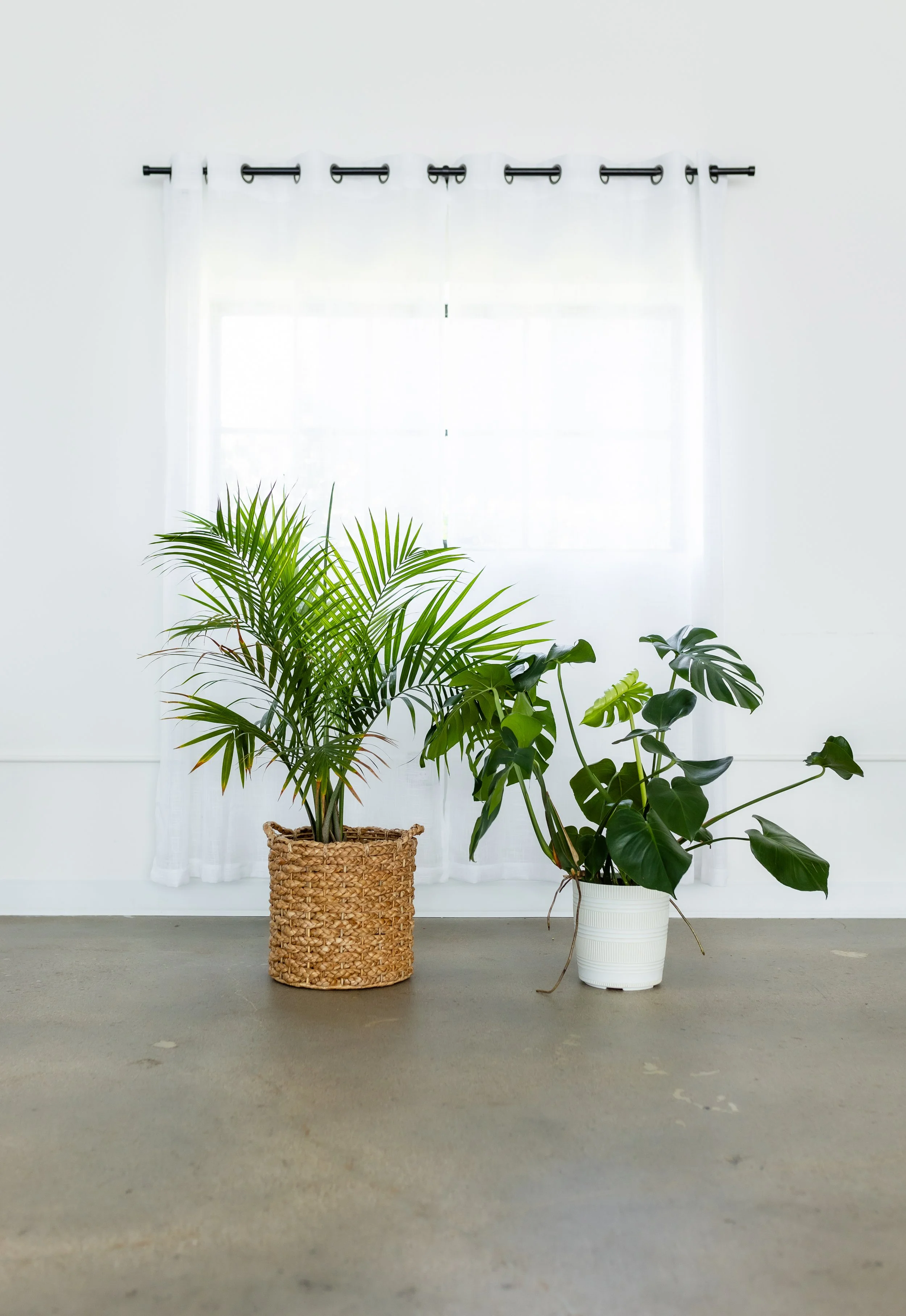 Dallas Natural Light Photography Studio | Brightside Studios