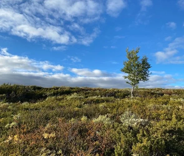 Über uns — ICH & WIR Academy