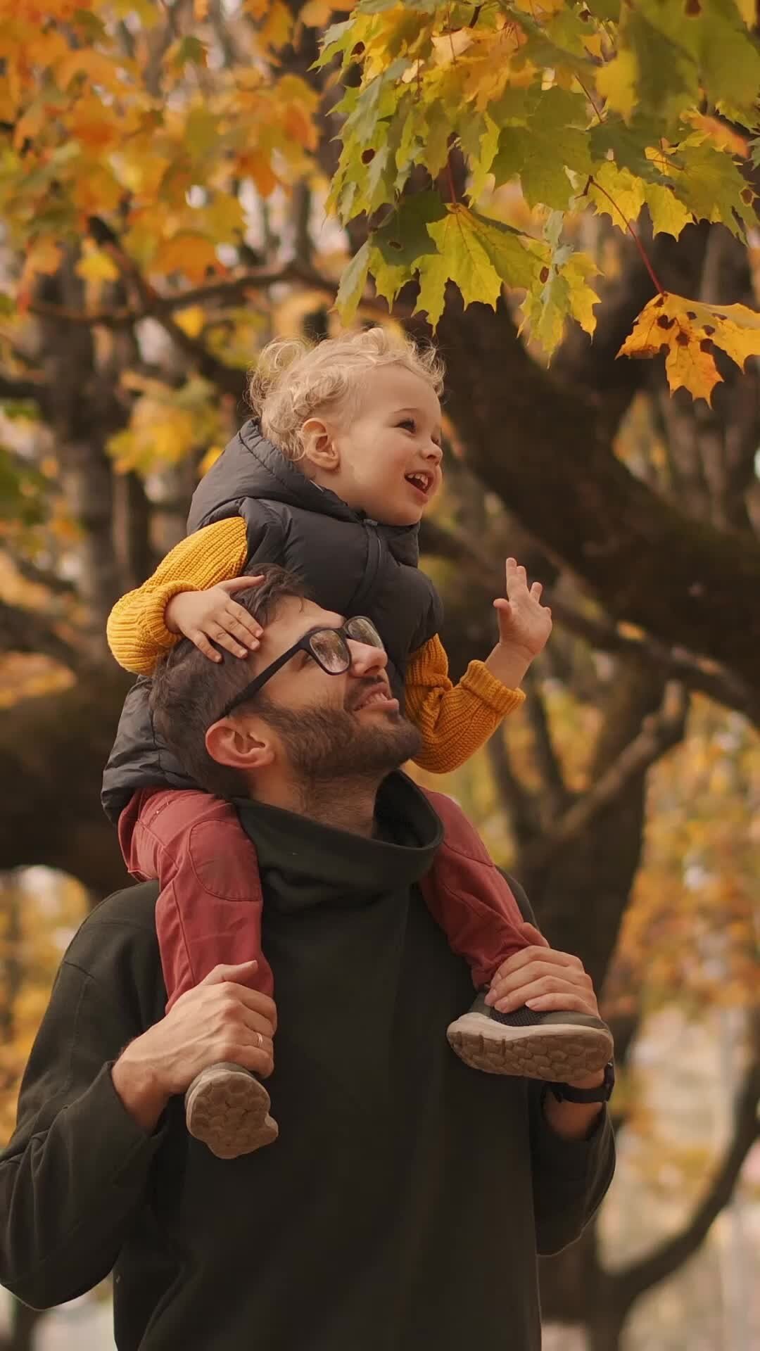 The Assante Story — Arch Advisors