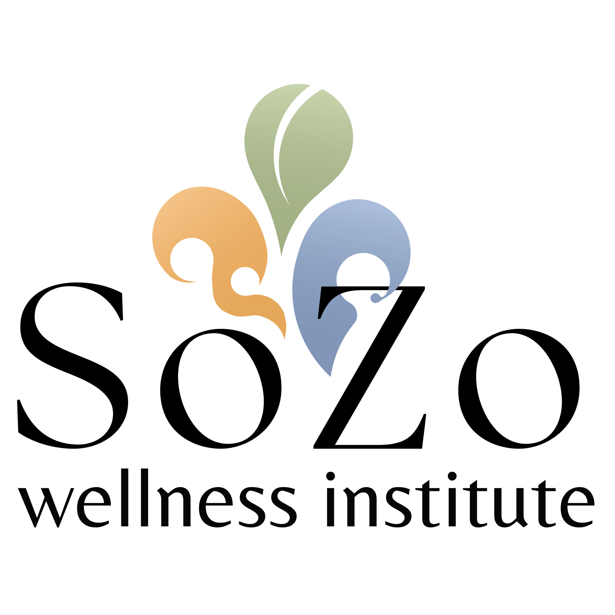 Sozo Holistic Wellness - Soul Chatter