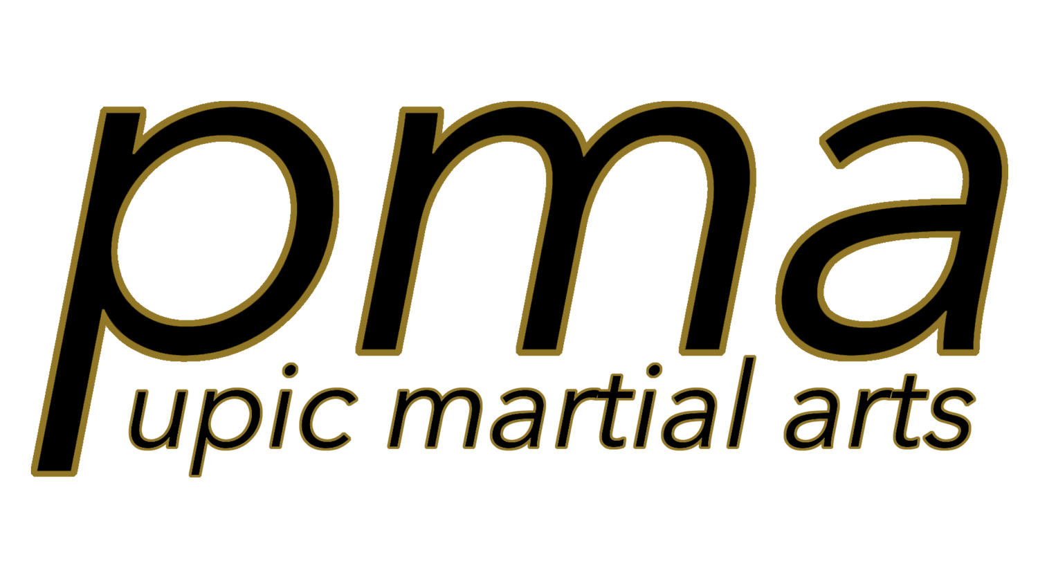 PMA Martial Arts - Newport, Usk & Underwood