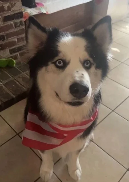 Our Cases — Ryther Law Group, LLP