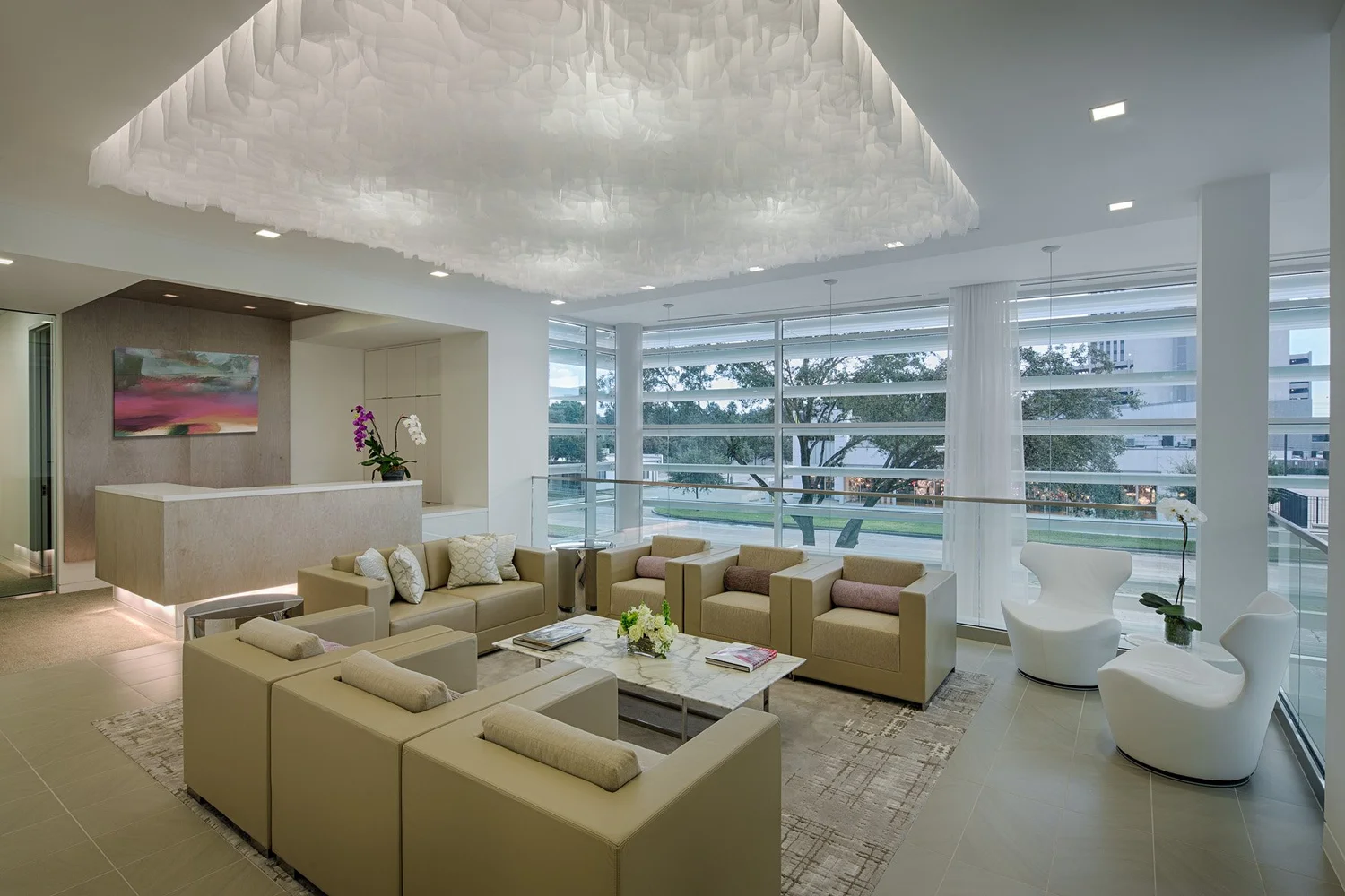 Houston Plastic Surgery Center & Clinic — Ziegler Cooper Architects