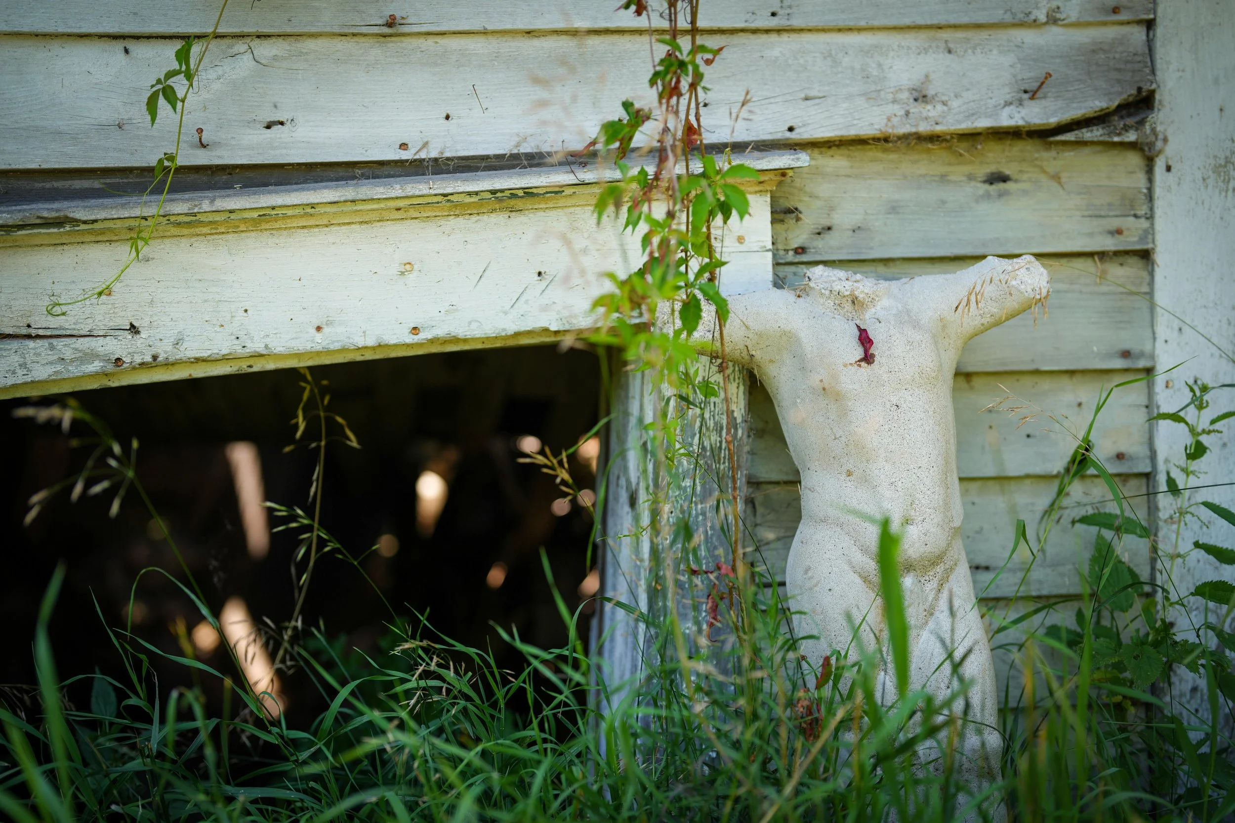 JR - Photography. JR - Photography