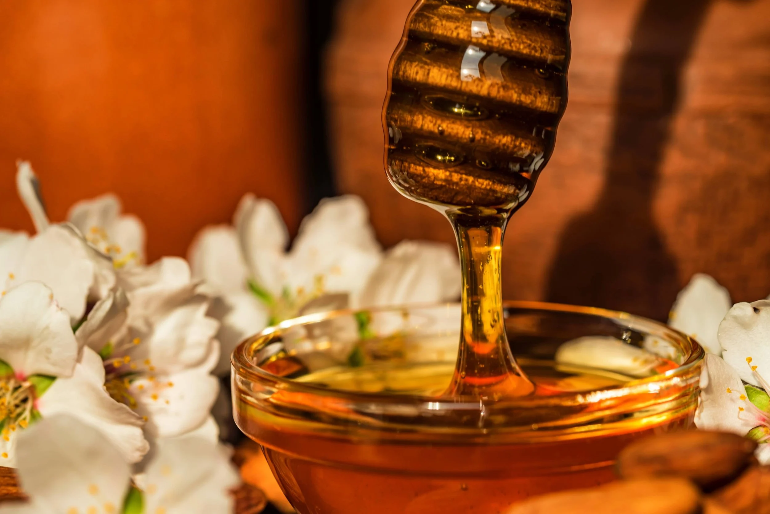 Reishi Radiance - Gourmet Raw Honey Electuary — Forest and Ether