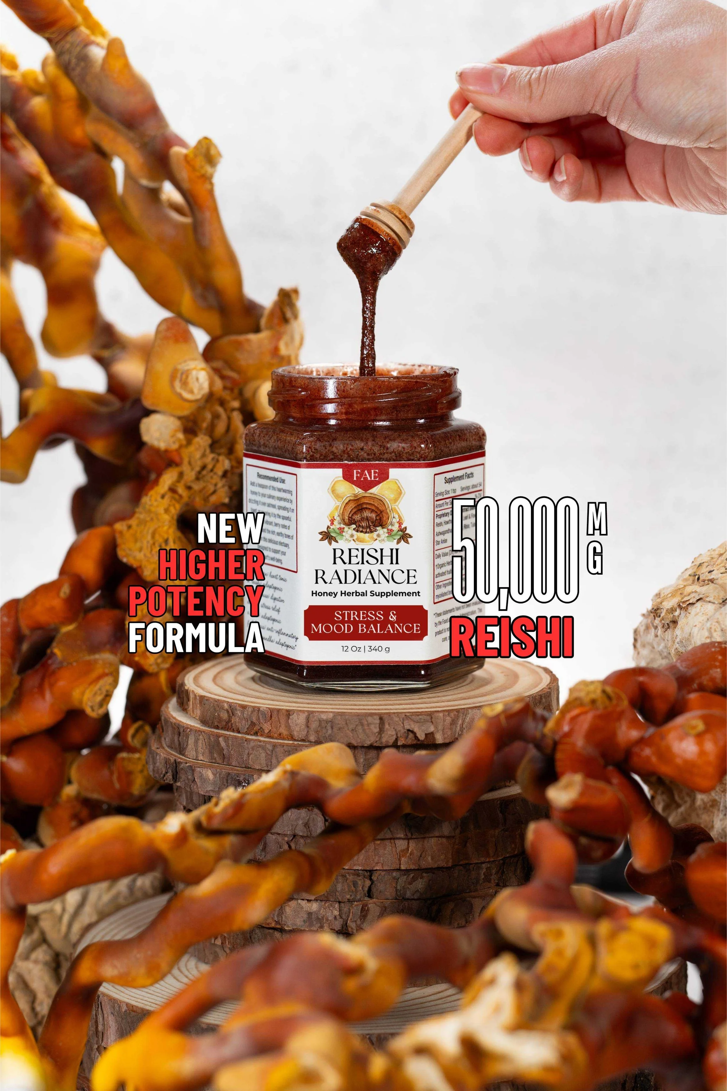 Lion's Mind - Gourmet Raw Honey Electuary — Forest and Ether