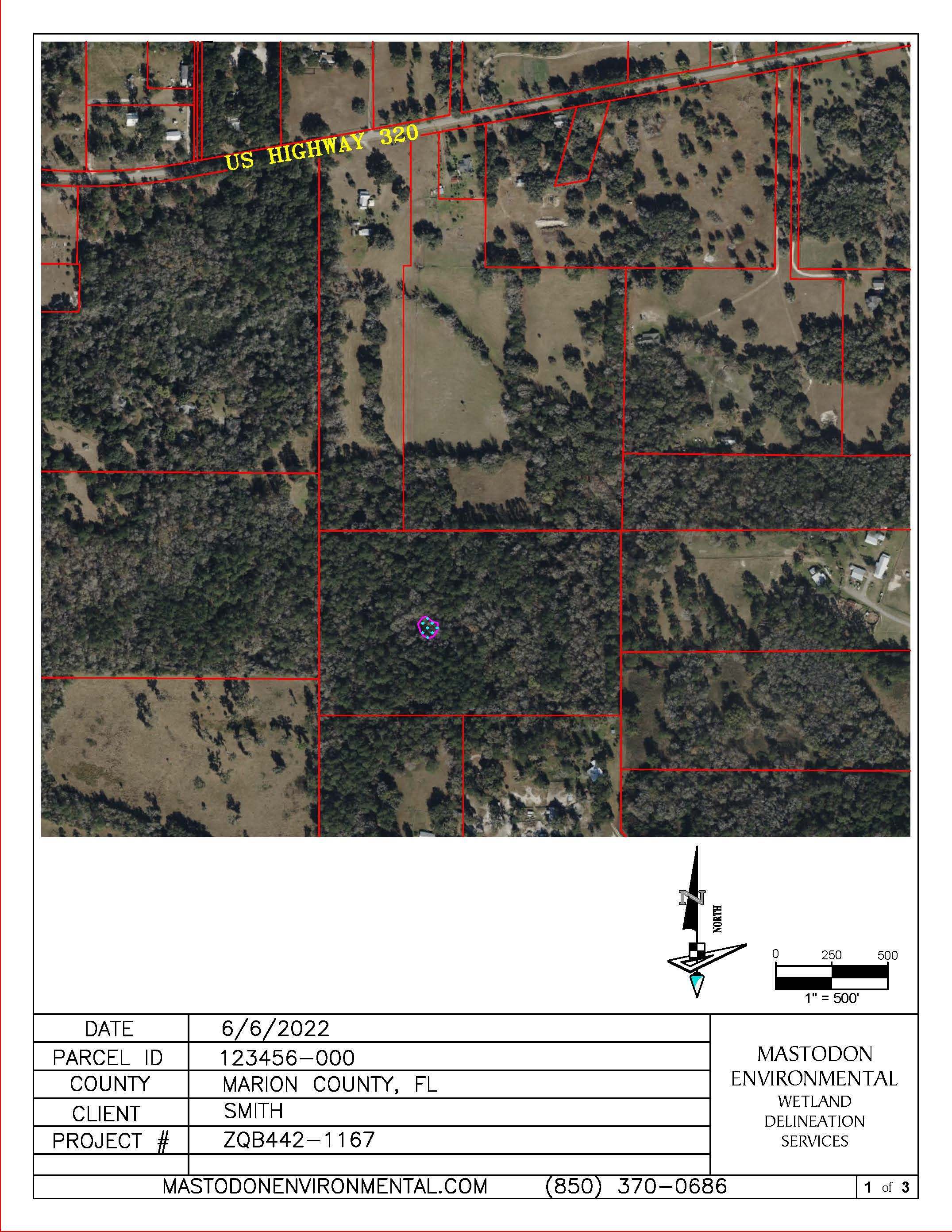 Services — Mastodon Environmental - Wetland Delineation Services