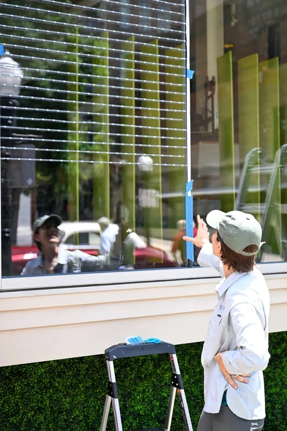 Project Safe Flight — ALABAMA AUDUBON