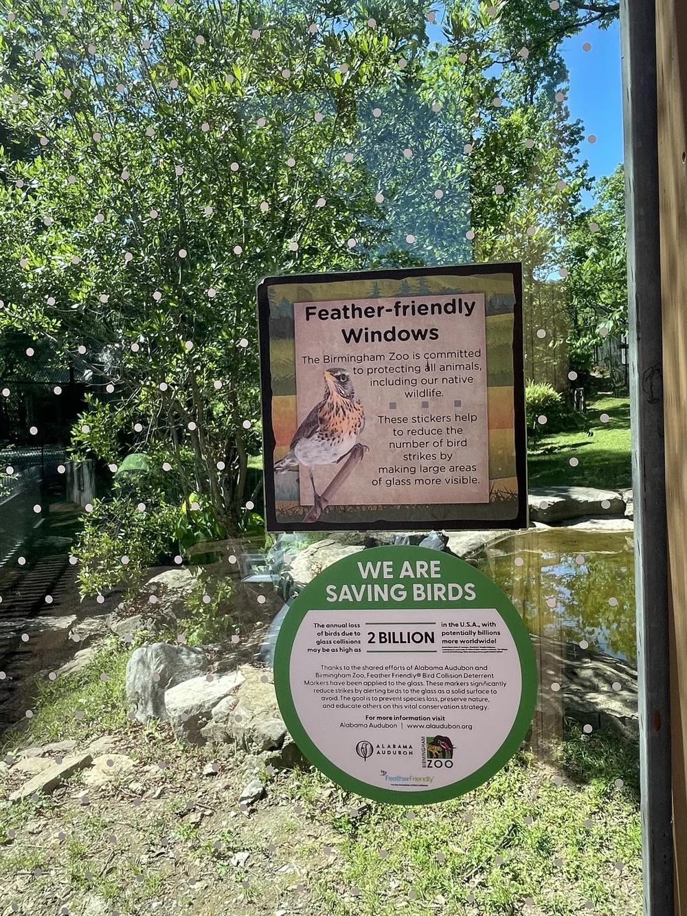 Project Safe Flight | Help Protect Birds — Get Involved Now — ALABAMA ...