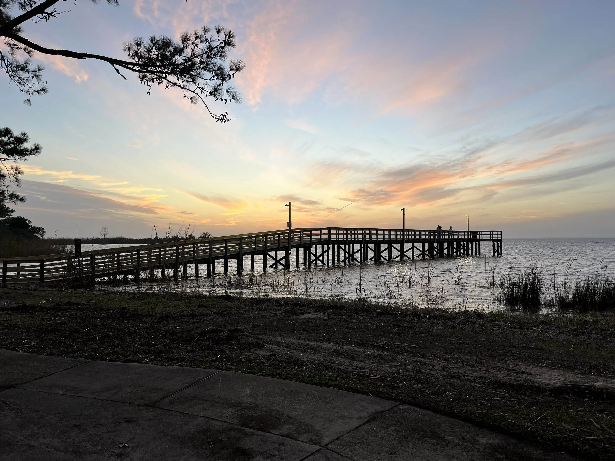 Event Calendar — ALABAMA AUDUBON