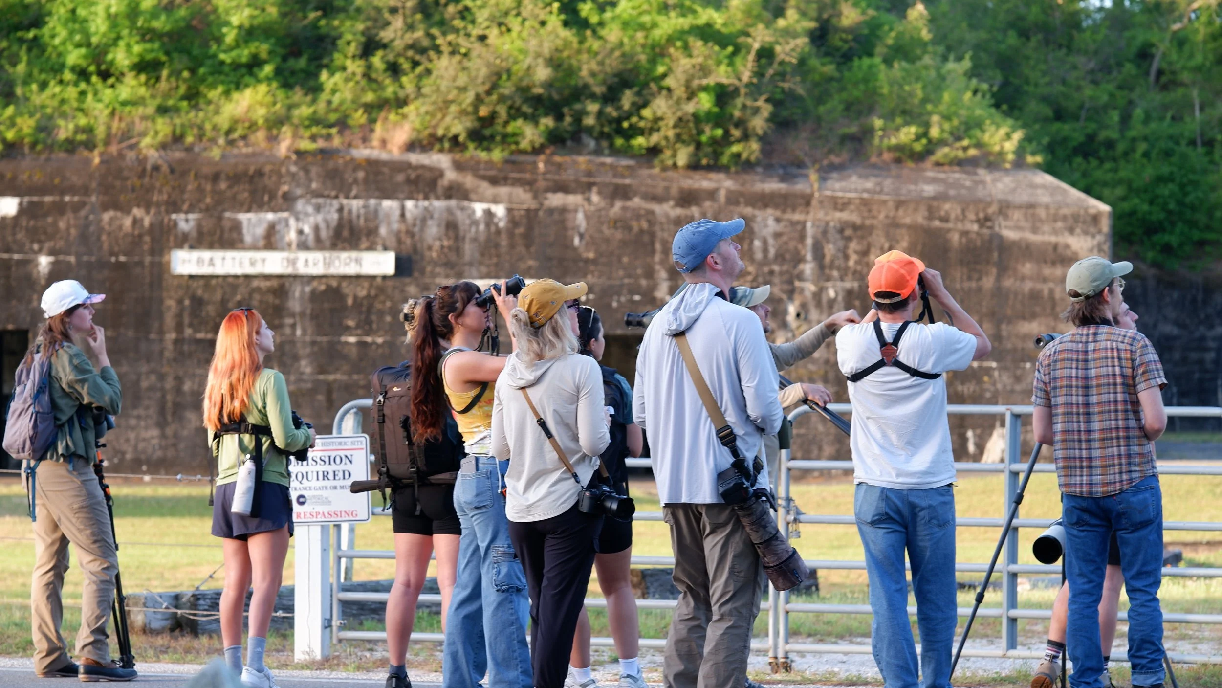 Alabama Coastal Birdfest — ALABAMA AUDUBON