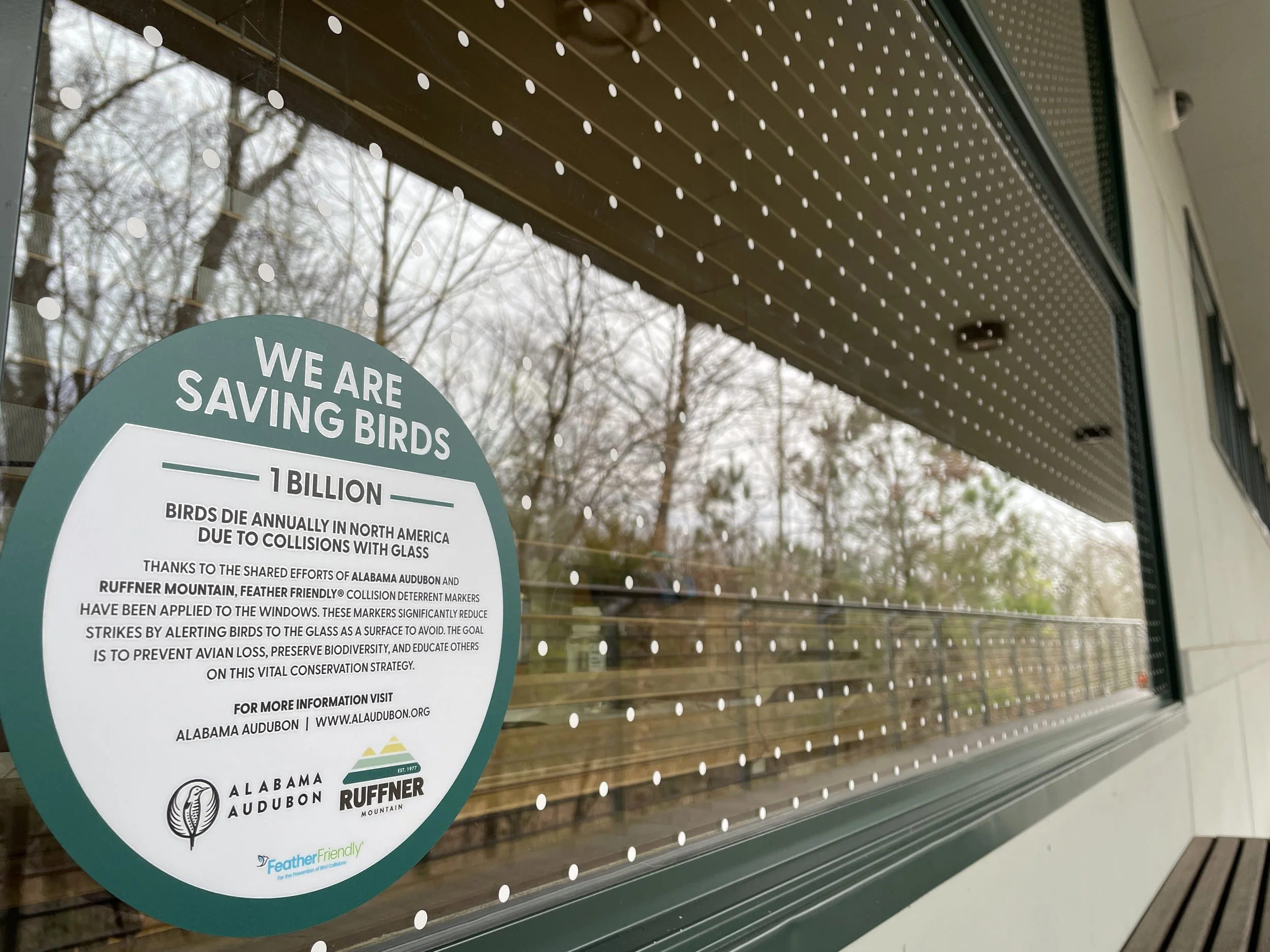 Project Safe Flight | Help Protect Birds — Get Involved Now — ALABAMA ...