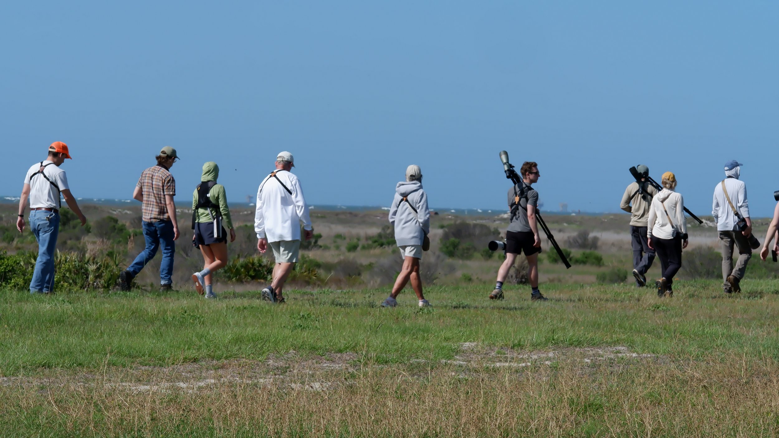 Alabama Coastal Birdfest — ALABAMA AUDUBON