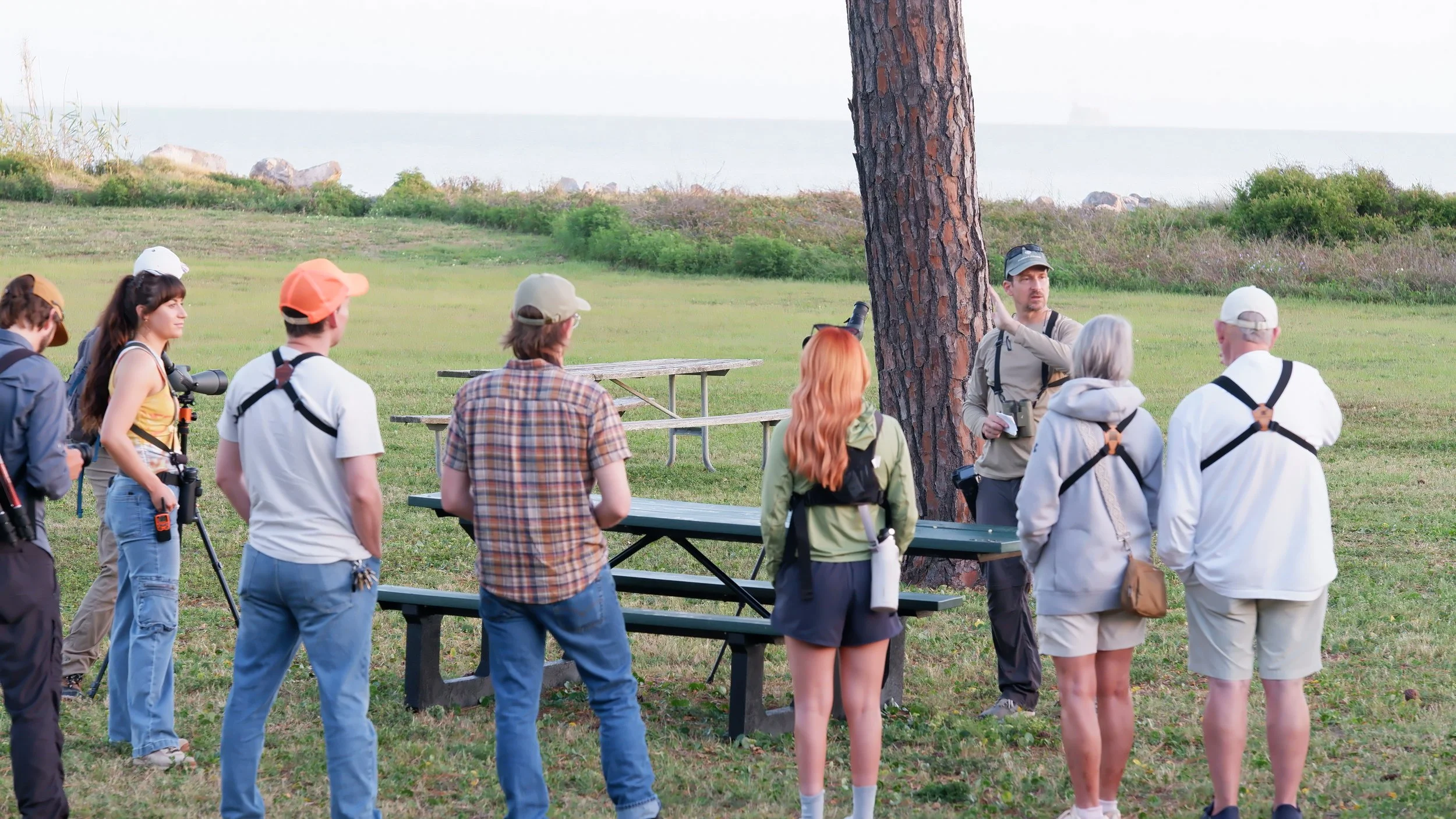 Alabama Coastal Birdfest — ALABAMA AUDUBON