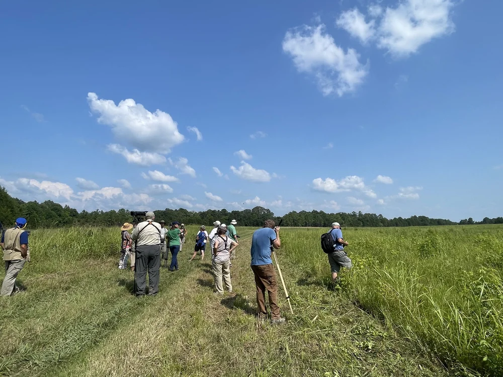 BIRDING | Explore Birding Opportunities – Join Today — ALABAMA AUDUBON