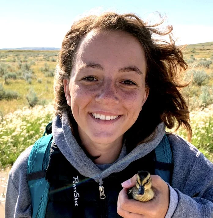 WHO WE ARE — ALABAMA AUDUBON