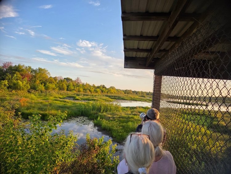 Domestic Travel — ALABAMA AUDUBON
