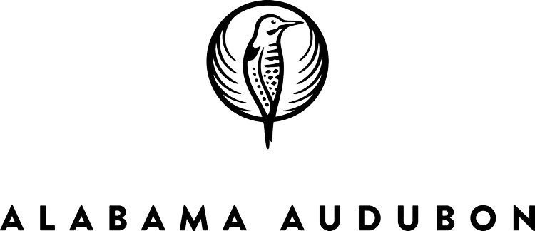 ALABAMA AUDUBON