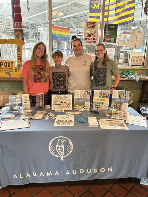 ALABAMA AUDUBON | Explore Birds Today – Join Us Now