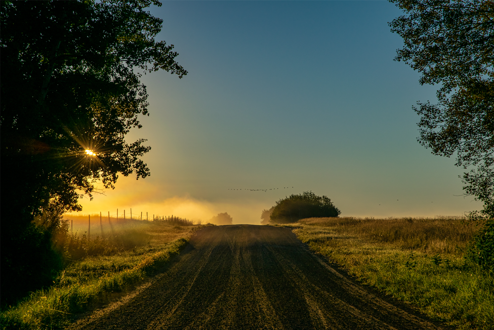 PHOTO CONTEST — Manitoba Credit Unions