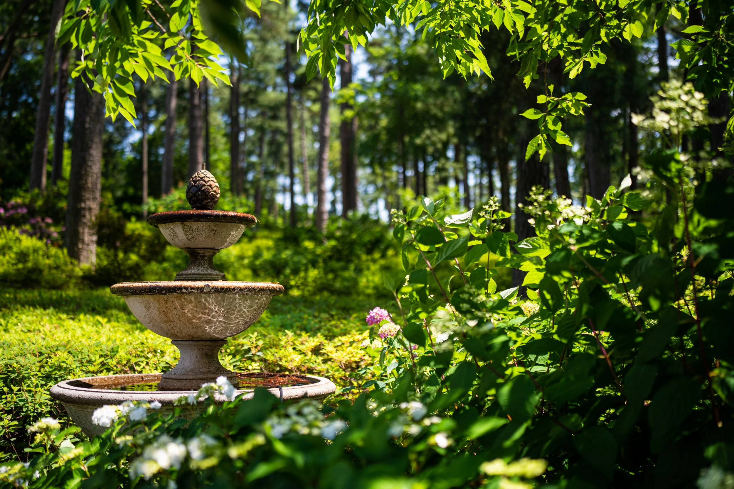 Appointments 2 — WRAL Gardens