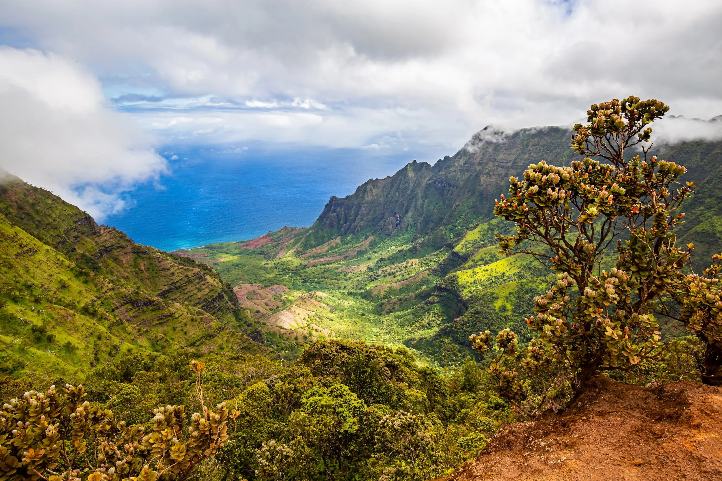 CARE Hawaii, Inc.