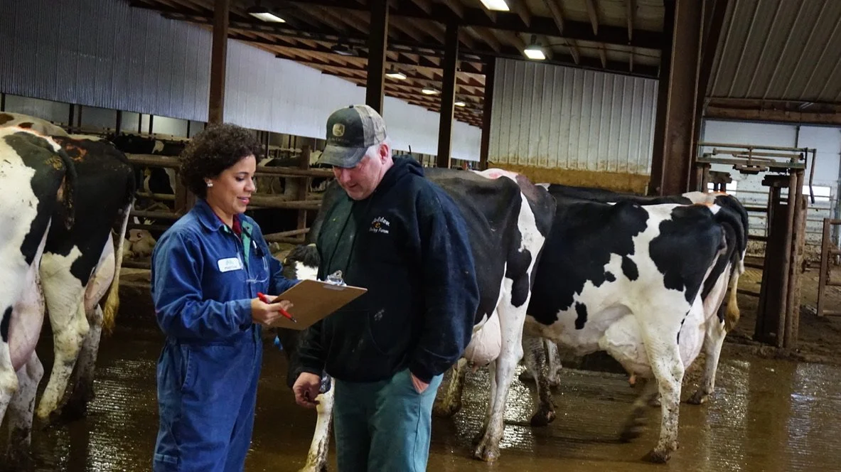 Dairy English Academy Registration | Enroll Today & Learn — Motiva Consulting