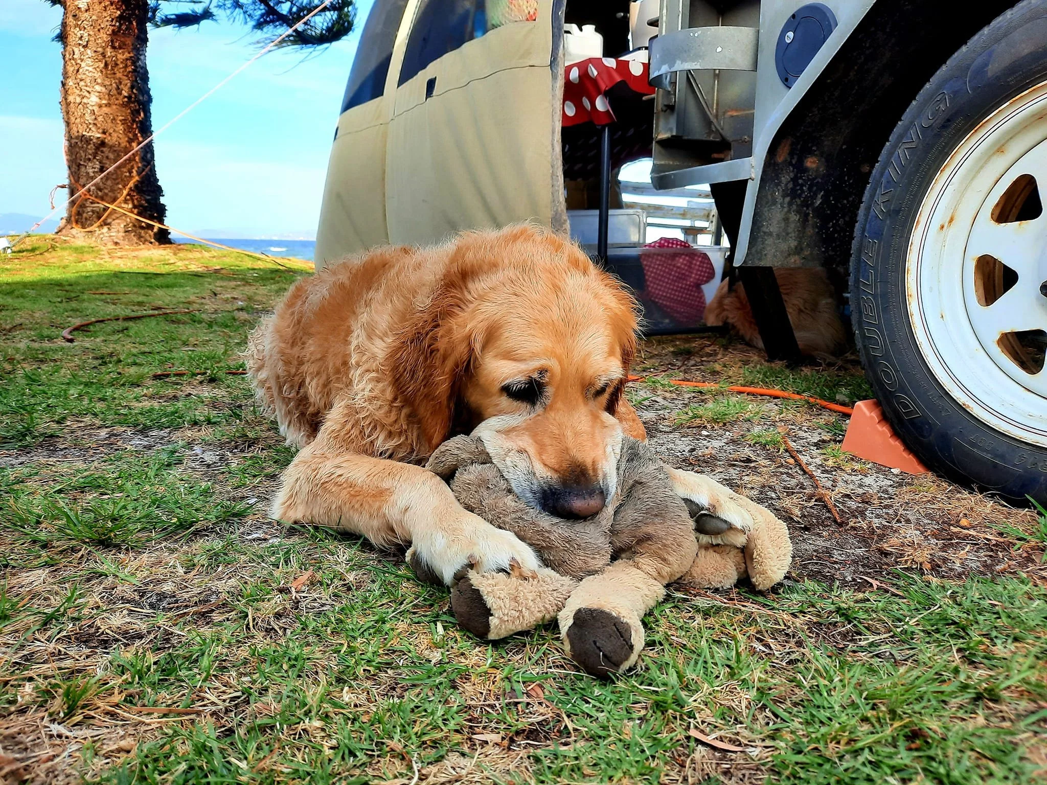 About — Panorama Caravan Park