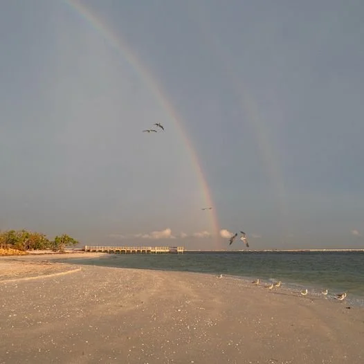 Great Beaches to Visit in Florida — Wishes Family Travel