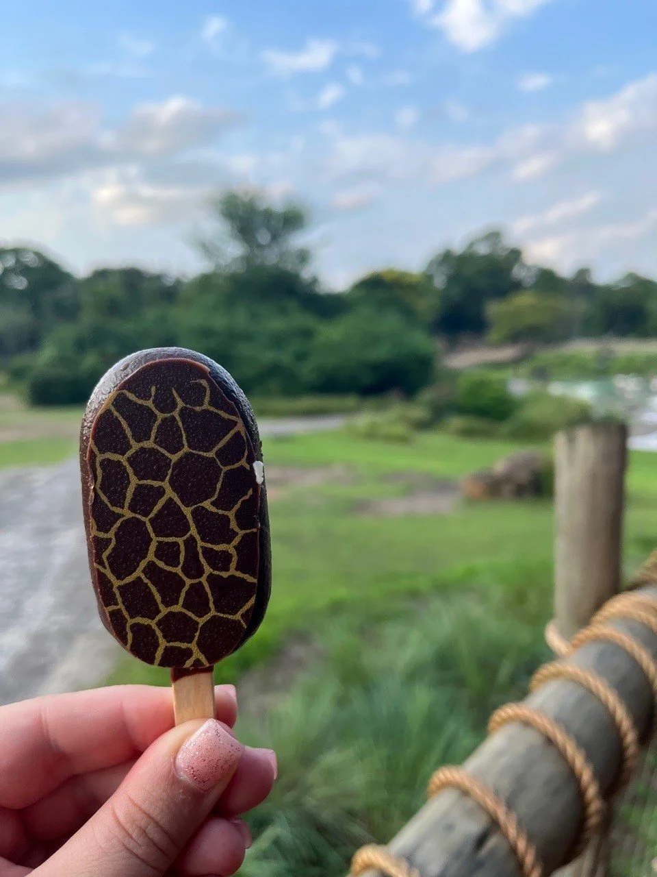 I Savored the Savanna! — Wishes Family Travel