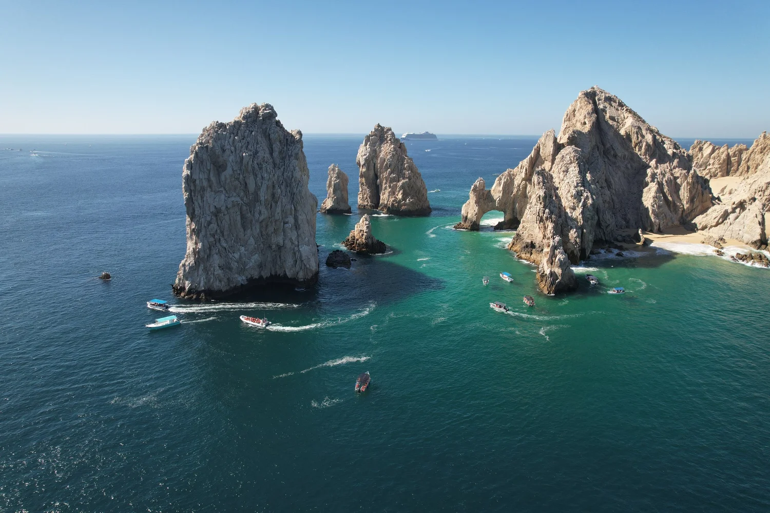 Scuba Diving in Cabo / PADI 5 DIVE CENTER - Nautilus Divetech