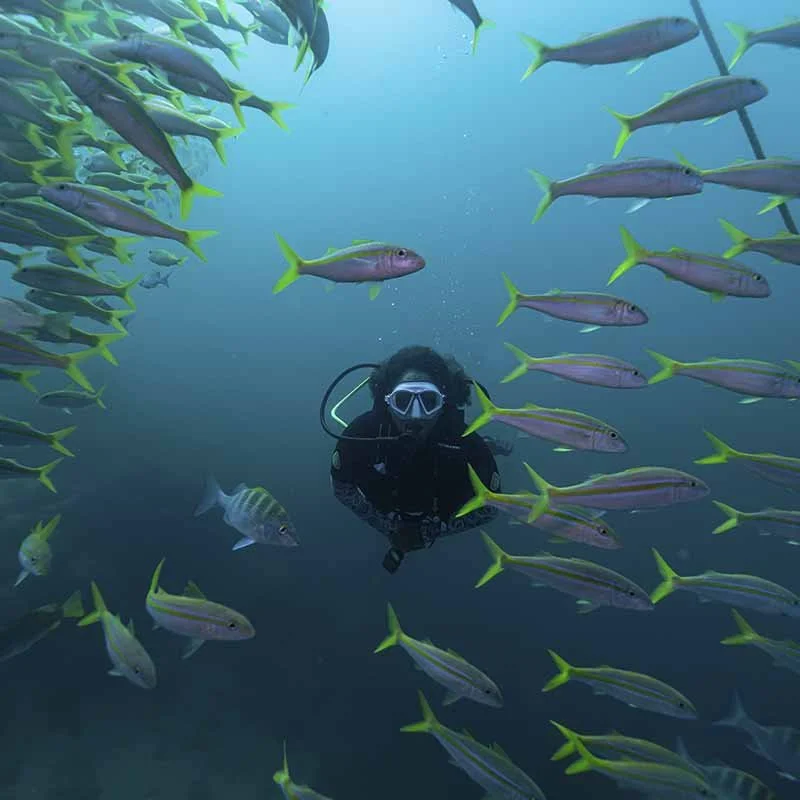 Dive the corridor — Nautilus Divetech