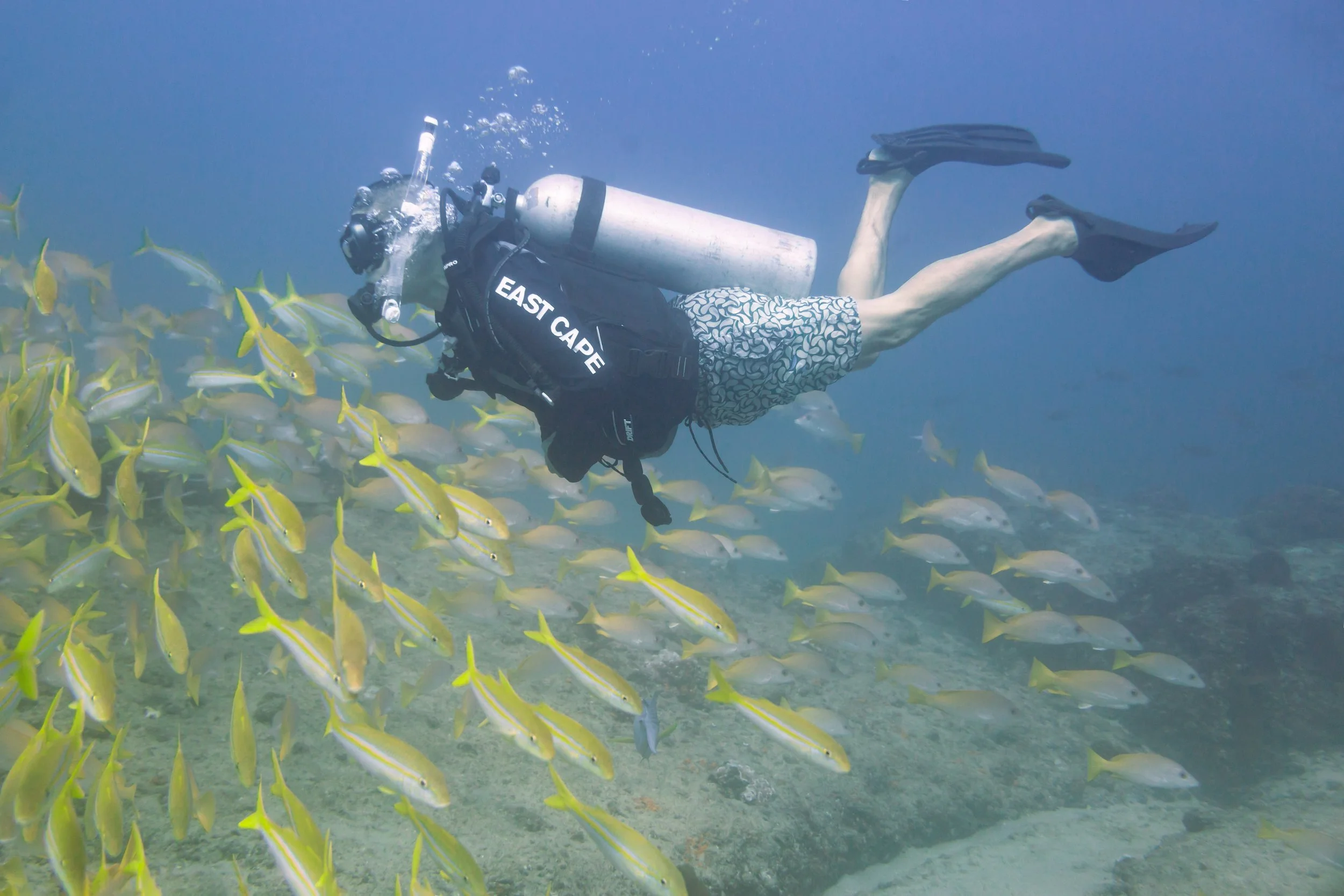 PADI Open Water Certification in Cabo — Nautilus Divetech