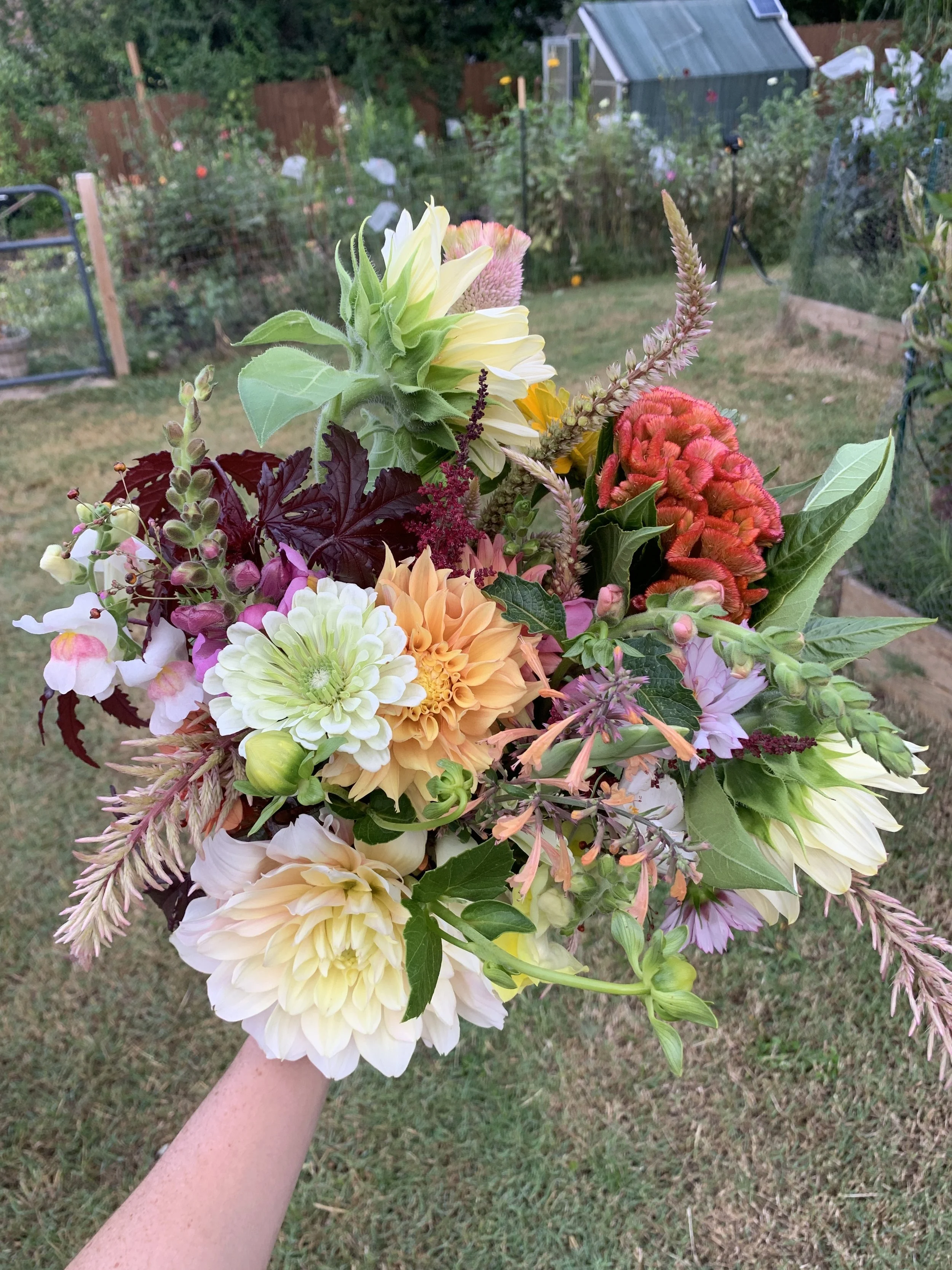 Shop — Riverside Gardens