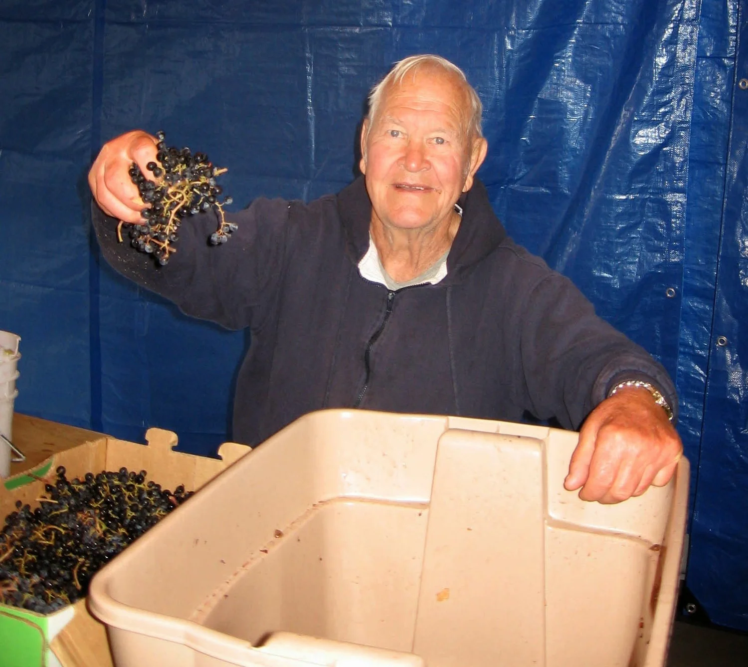 Our Legacy — Plain Cellars