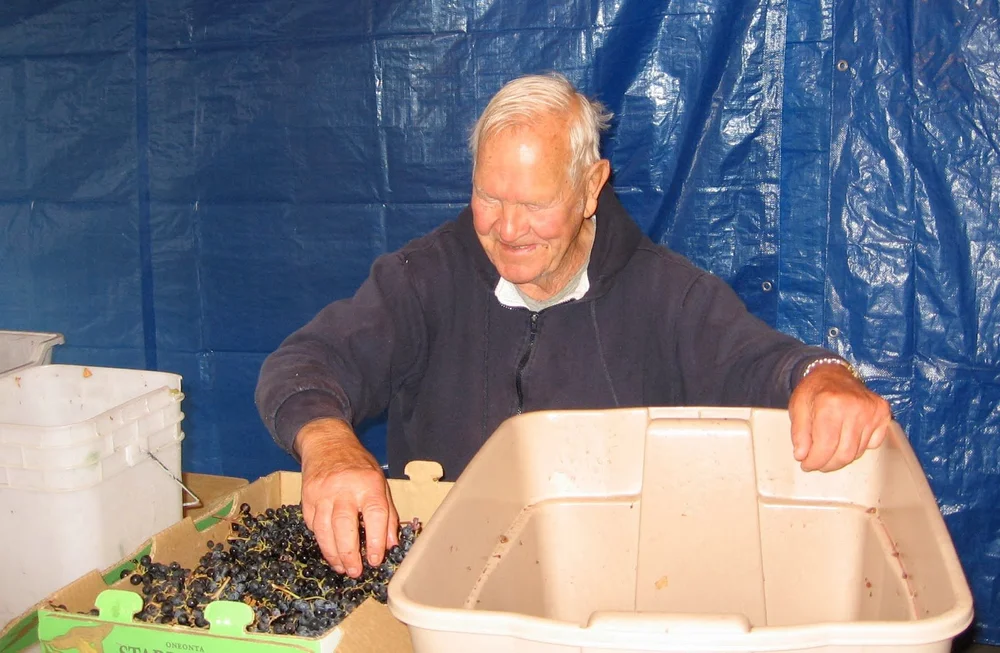 Our Legacy — Plain Cellars