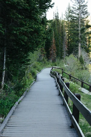 Photography of Hiking and Walking Trails