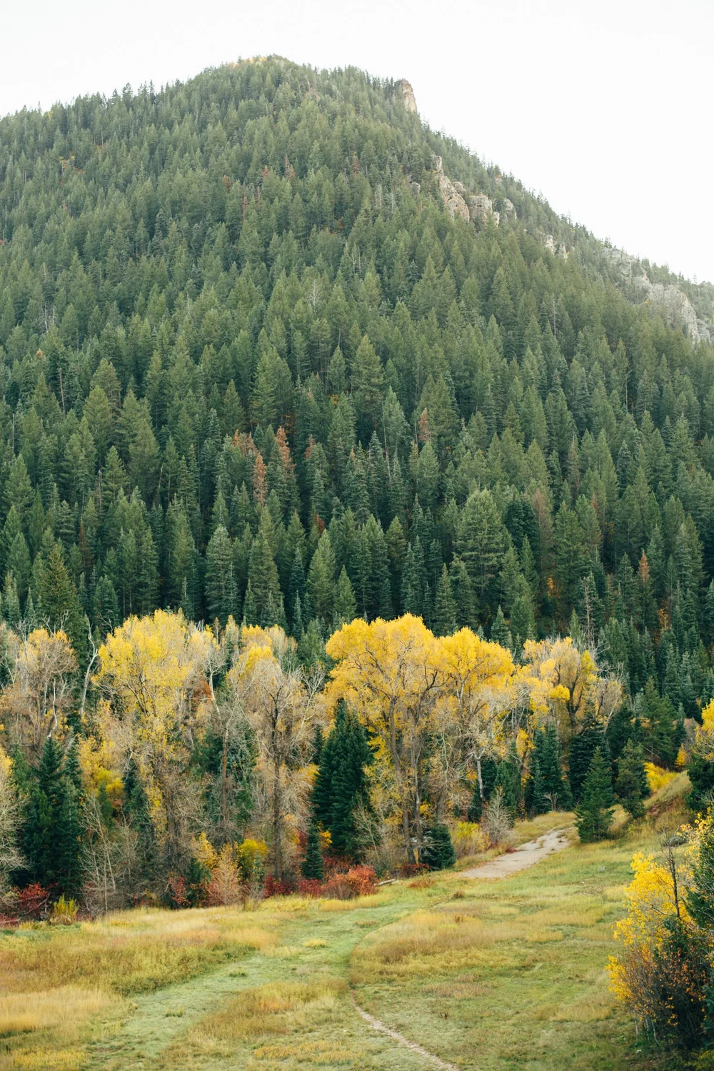 Photos at Tibble Fork Reservoir