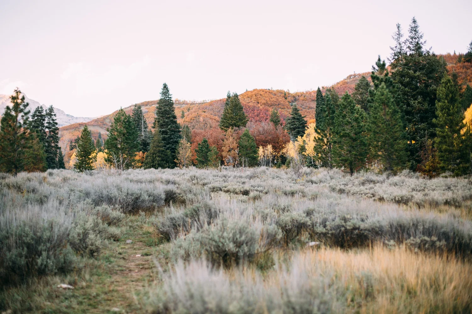 Photos at Tibble Fork Reservoir