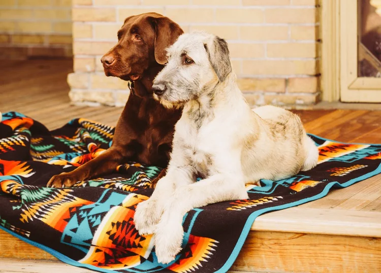 Product Photography for Pendleton Woolen Mills
