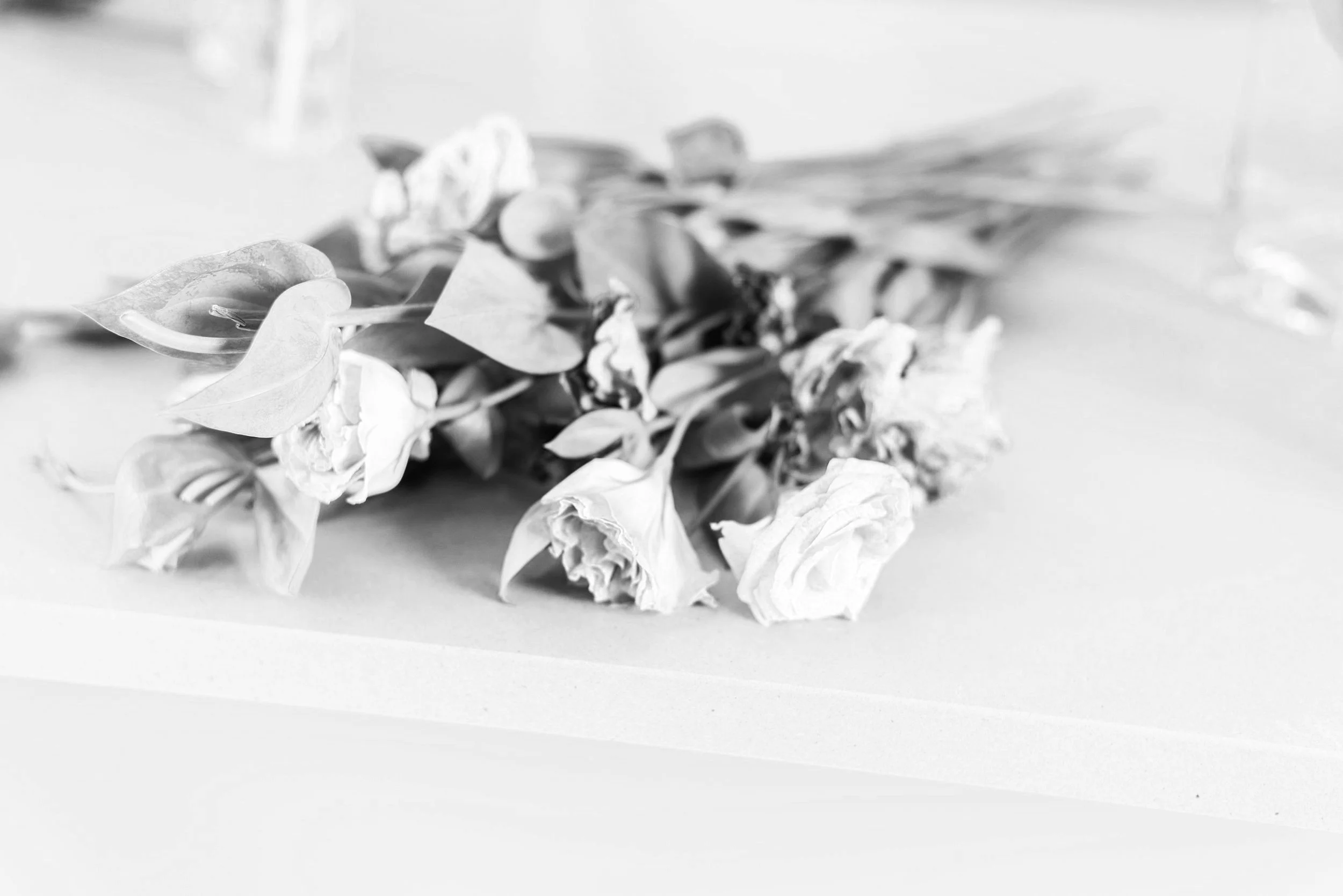 ABOUT — The Paisley Rose