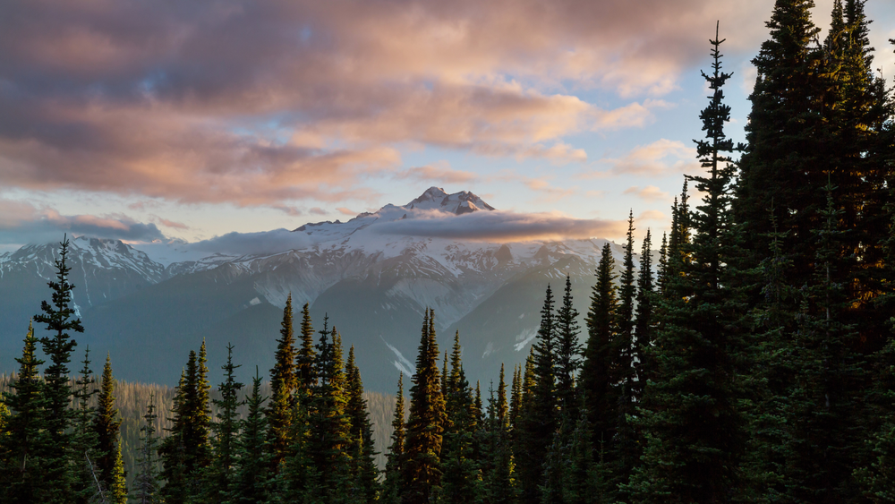 Washington State Search and Rescue