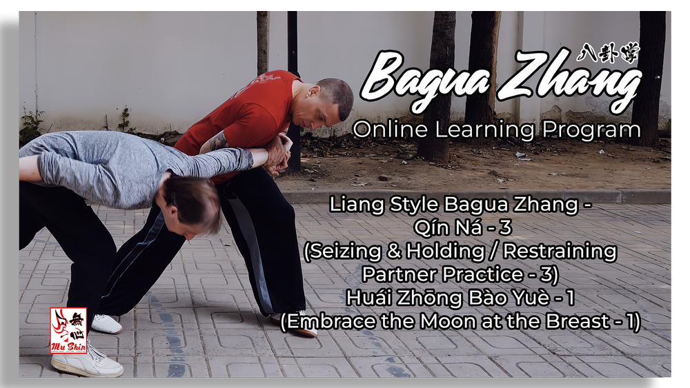 Online Learning — Mu Shin Martial Culture